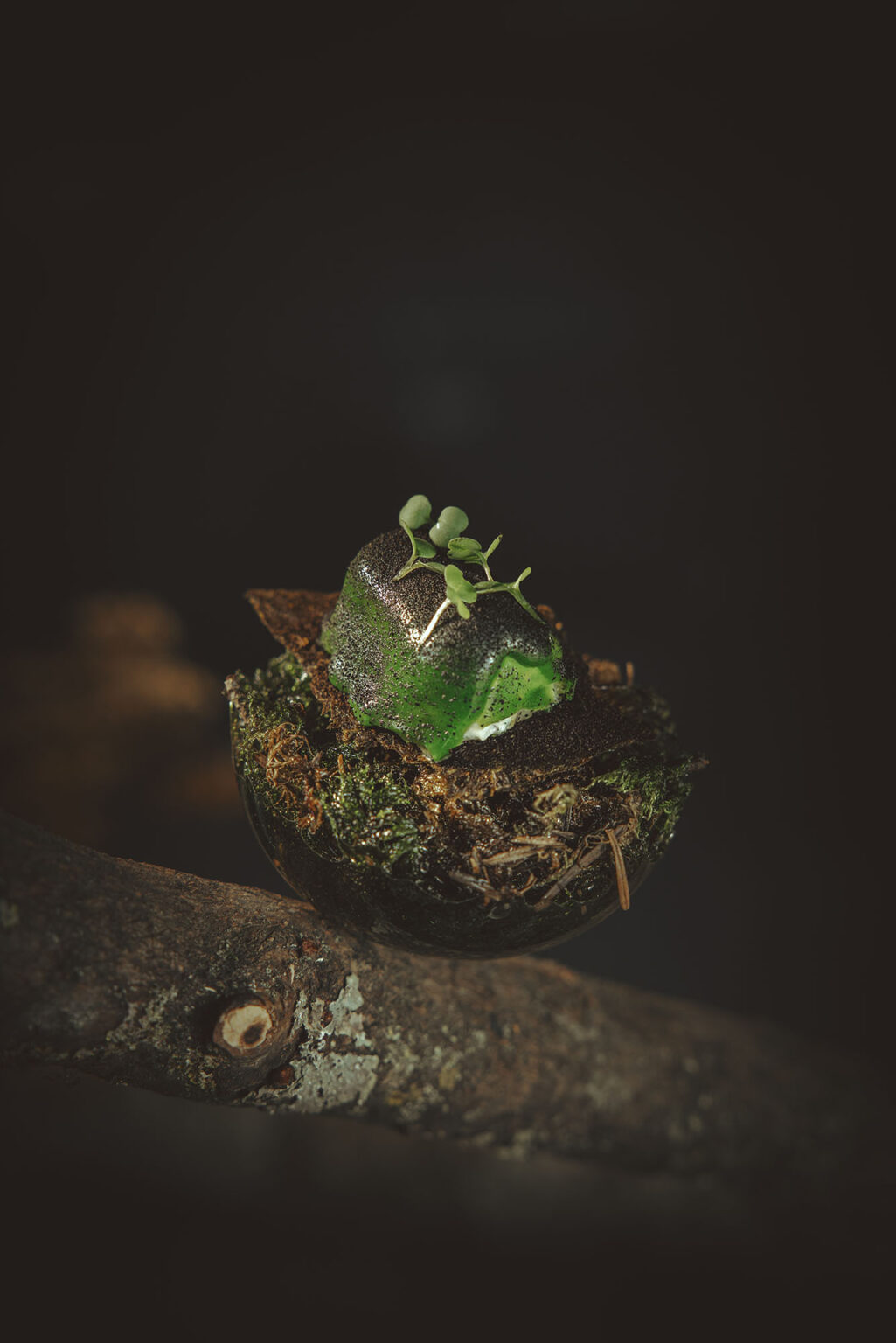 220 BPM - A unique culinary experience - Lyon